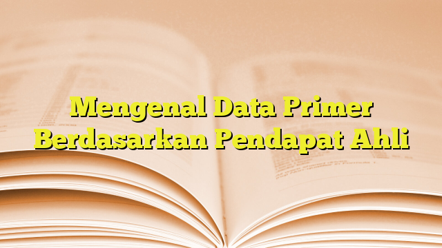 Mengenal Data Primer Berdasarkan Pendapat Ahli